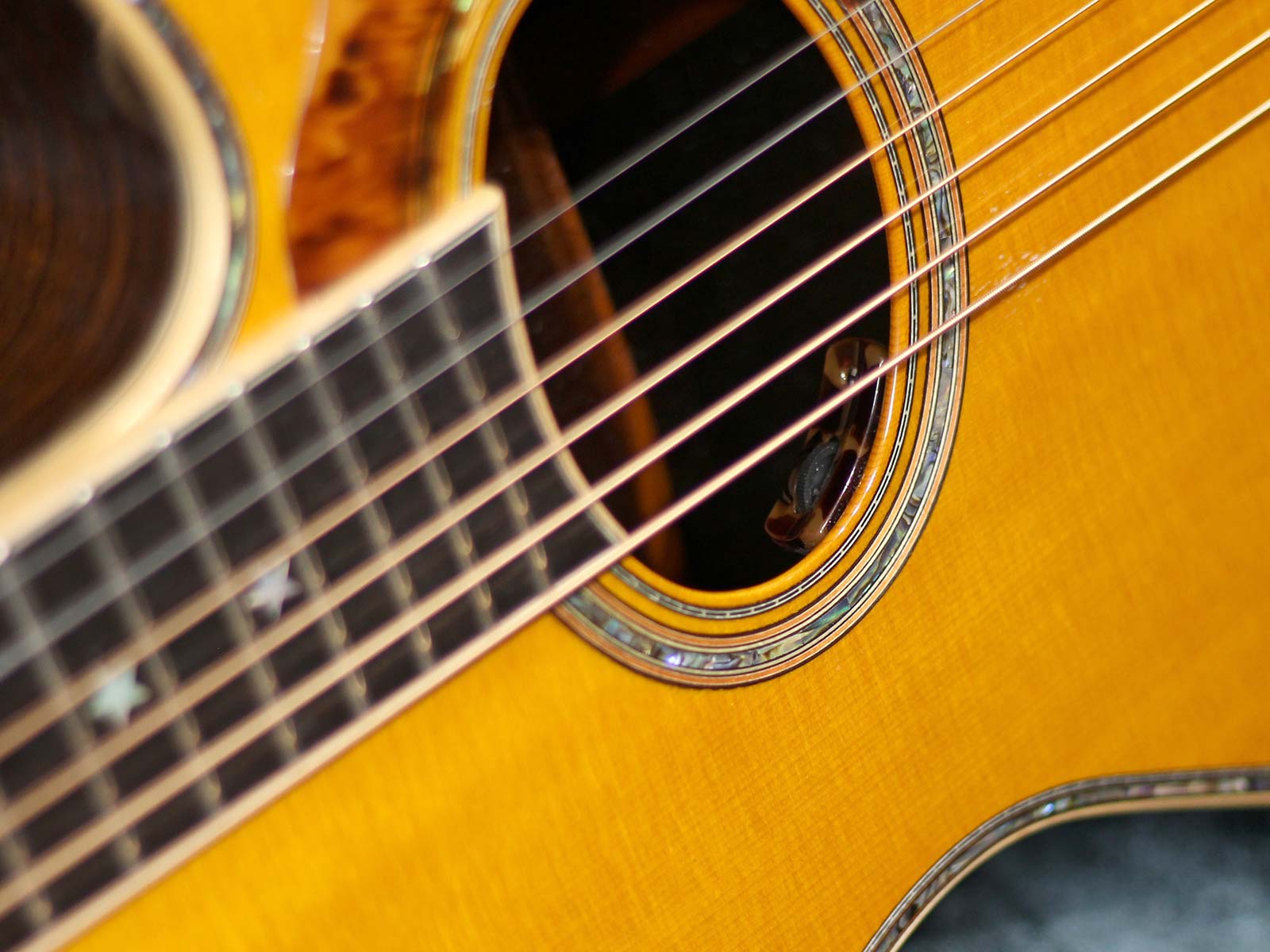 TSK No.8 Tortoise Shell Pickguard -Not Aged-